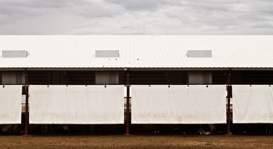 Korral Kool Livestock Barn Curtains | UV Resistant Cooling Curtains UAE
